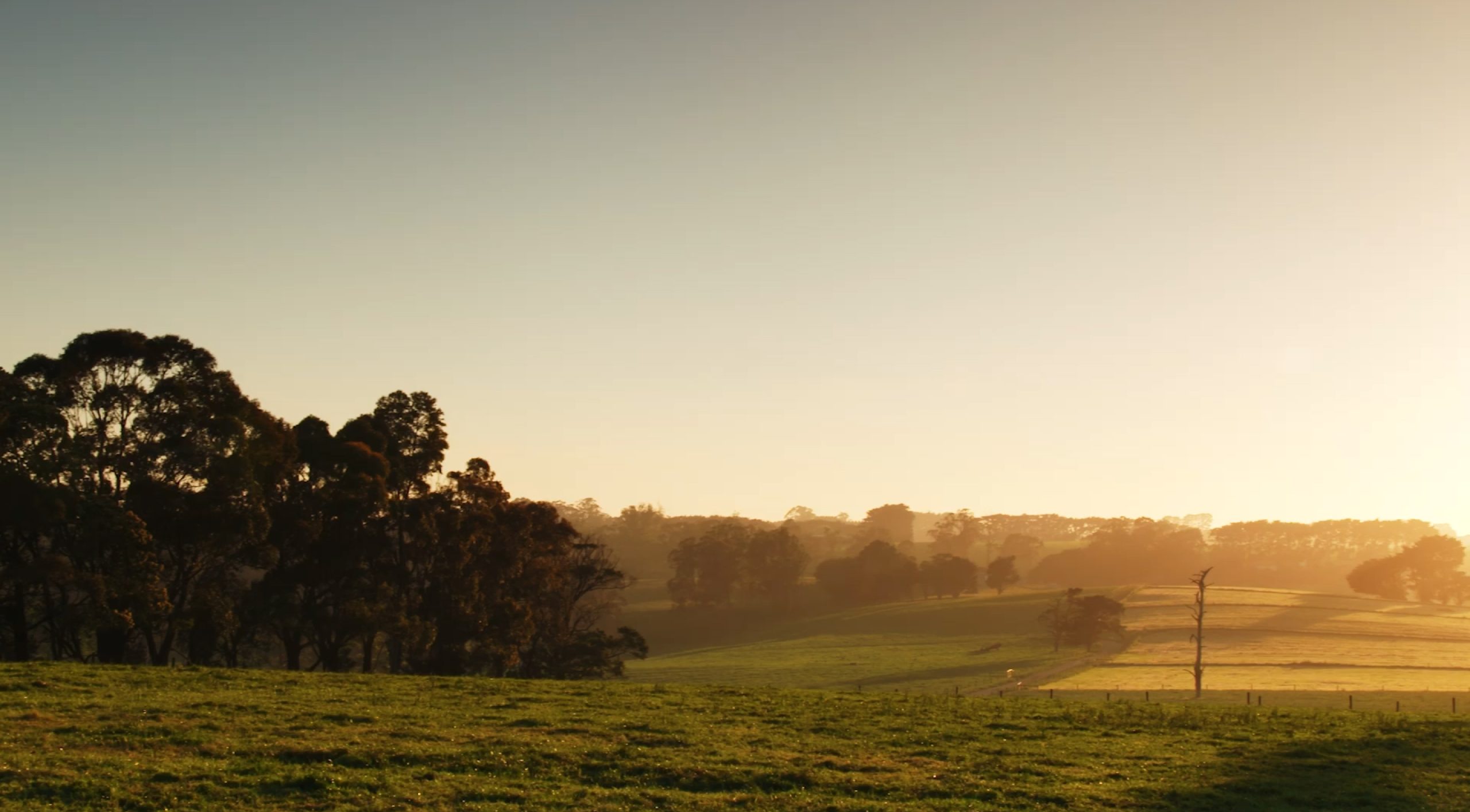 Bringing the best of Australian dairy to the world. - Burra Foods