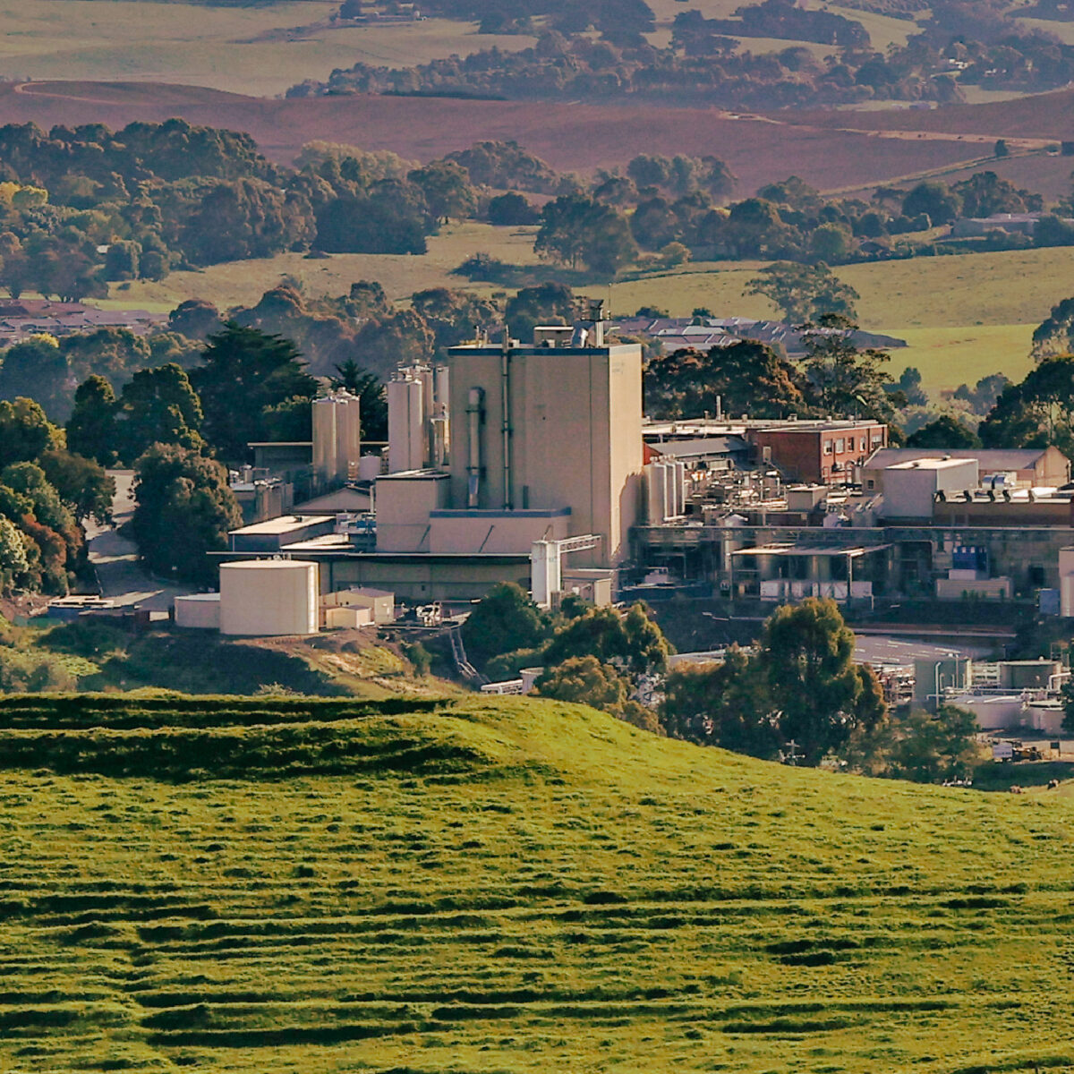 Our History - Burra Foods